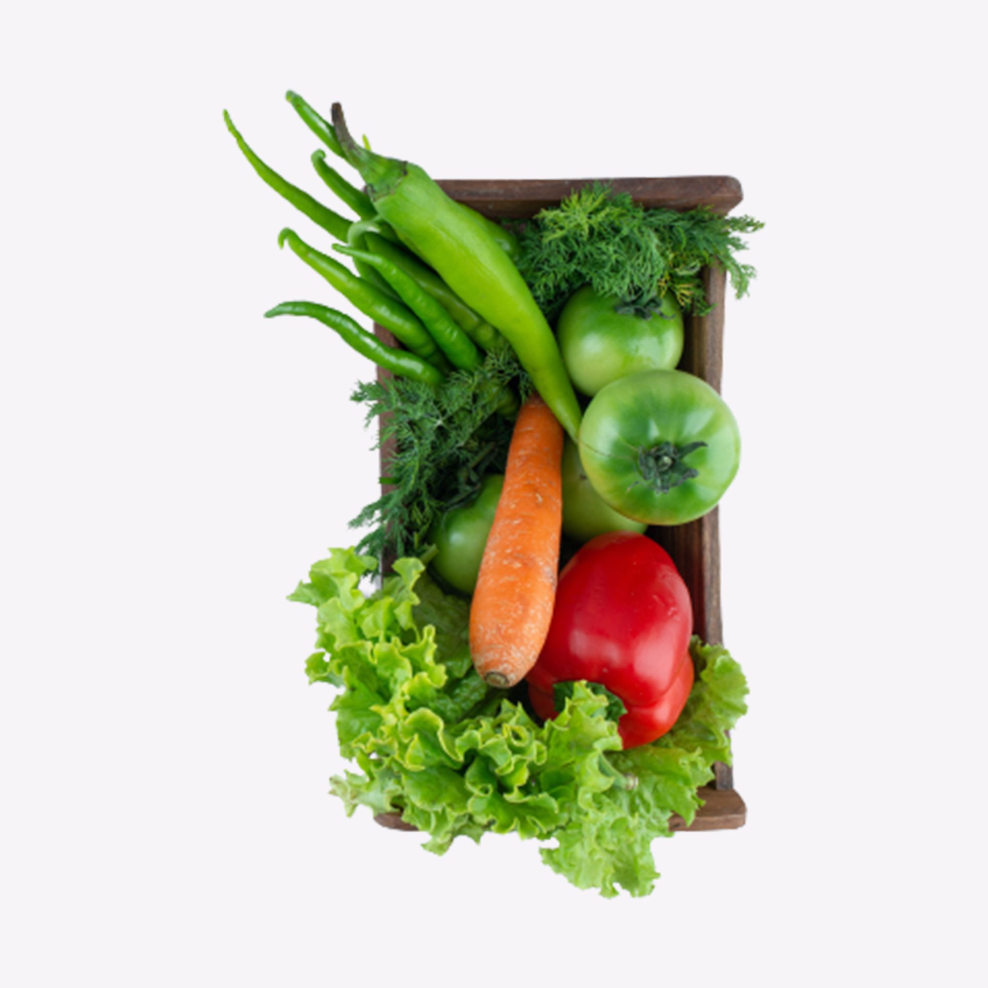 Cos Mediu Legume - Verde Stop